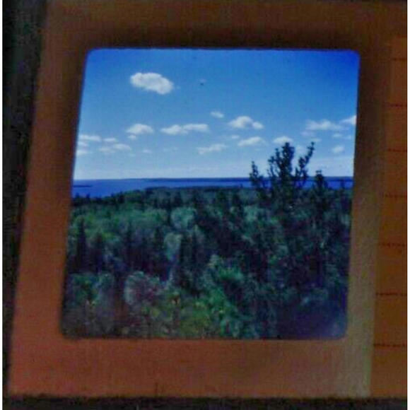 Art | 1951 Stereo Realist Slide View Of Gibbons Point From Tall Pine ...